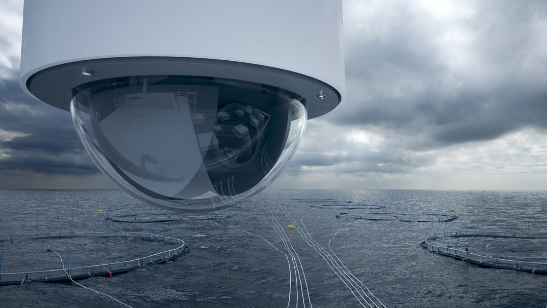 Kamerasystem - ScaleAQ