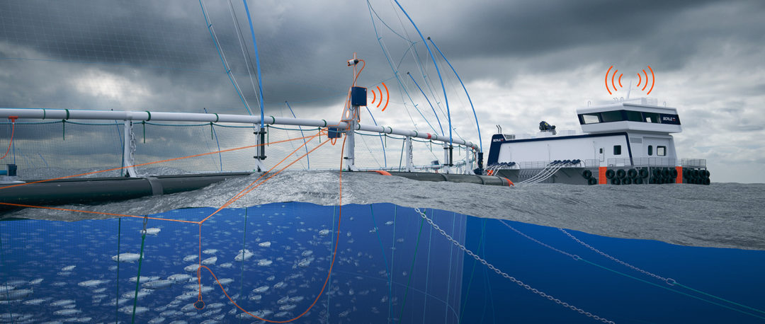 Orbit HD Surface - ScaleAQ