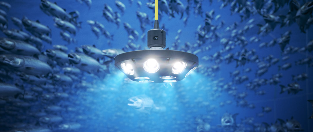 Fôring og overvåking - ScaleAQ