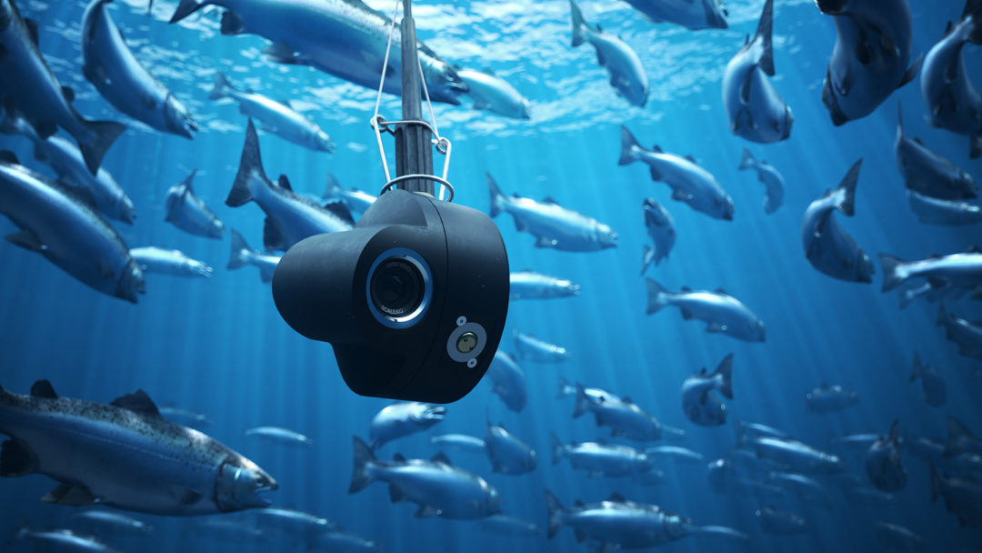 Kamerasystem - ScaleAQ