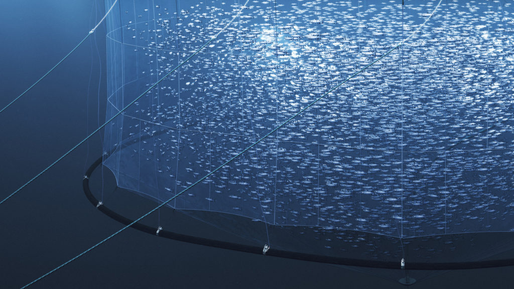 Nøter tilpasset Midgard System - ScaleAQ - We are aquaculture