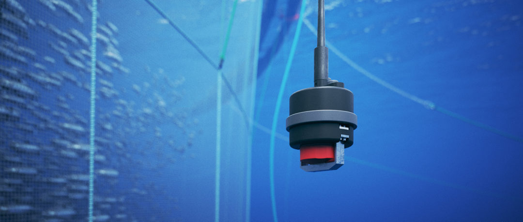 Fôring og overvåking - ScaleAQ