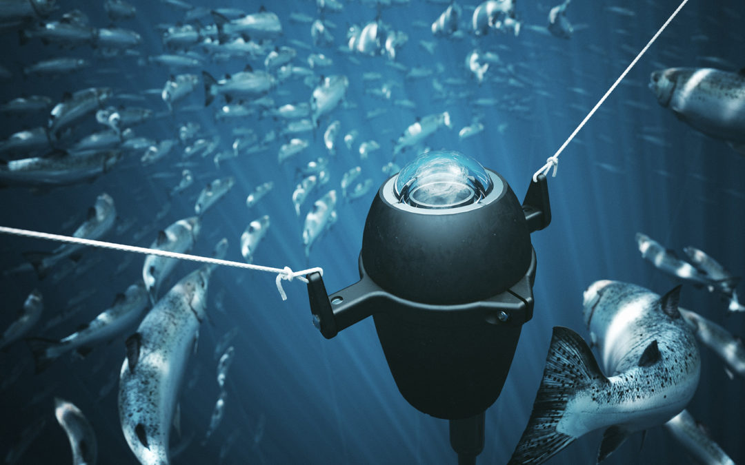 Kamerasystem - ScaleAQ