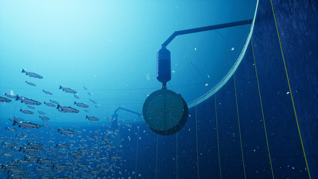 Vortex® System - ScaleAQ