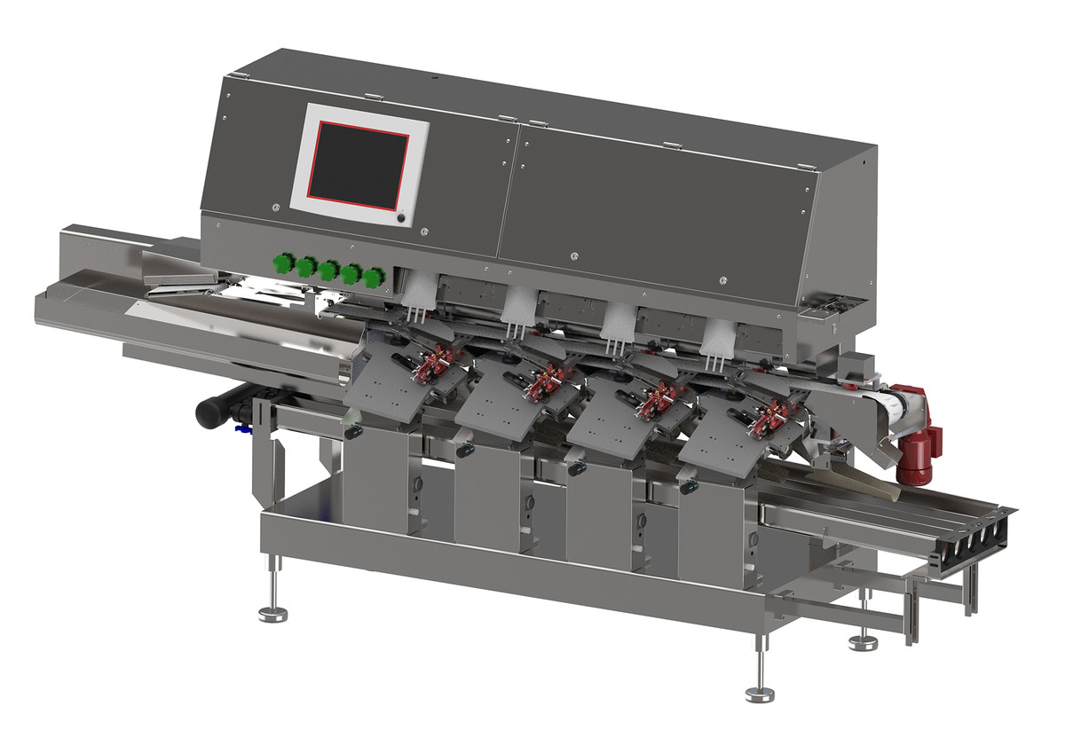 Fiskehelse og hygiene - ScaleAQ