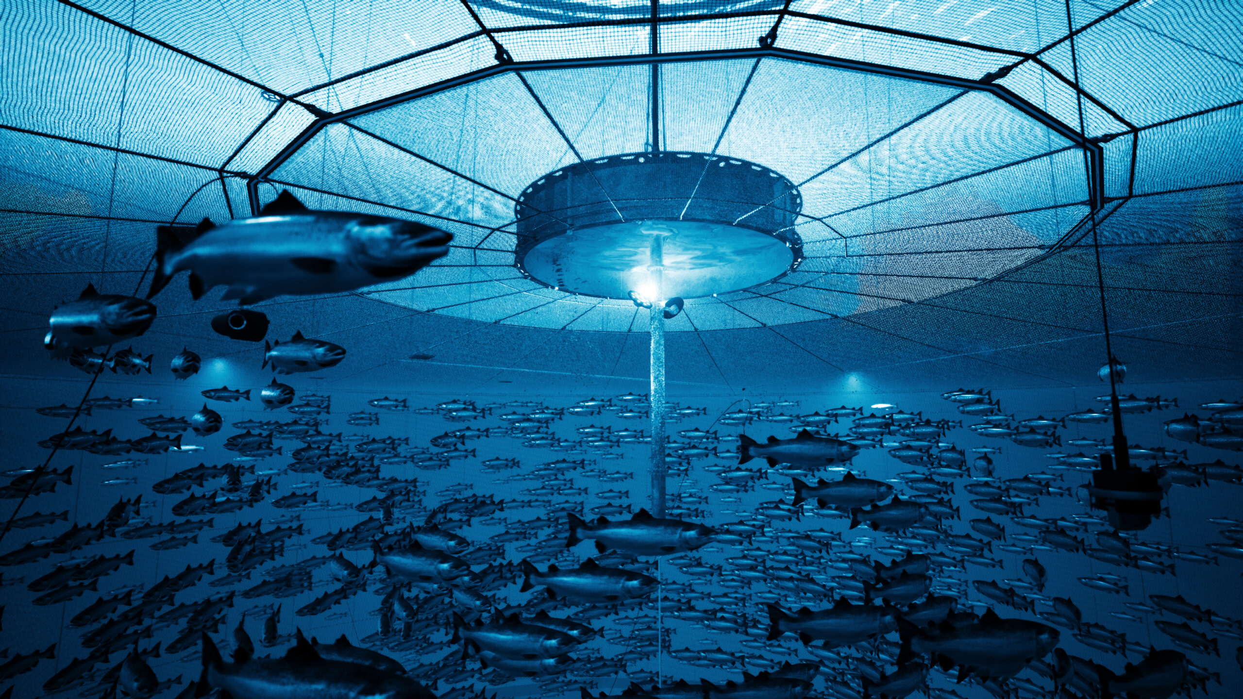 Subsea System - ScaleAQ