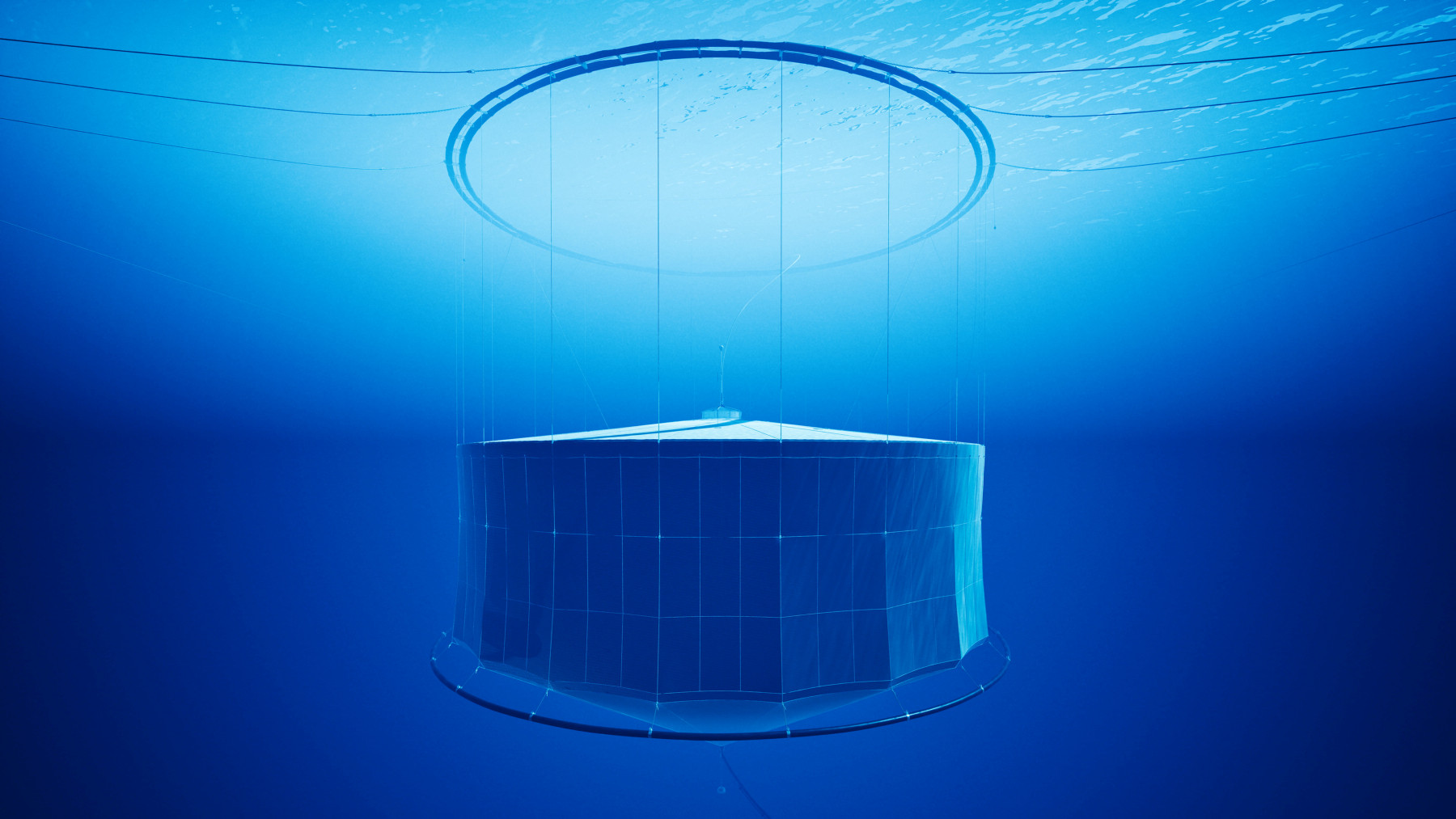 Merder og forankring - ScaleAQ