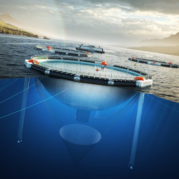 ScaleAQ | WE ARE AQUACULTURE