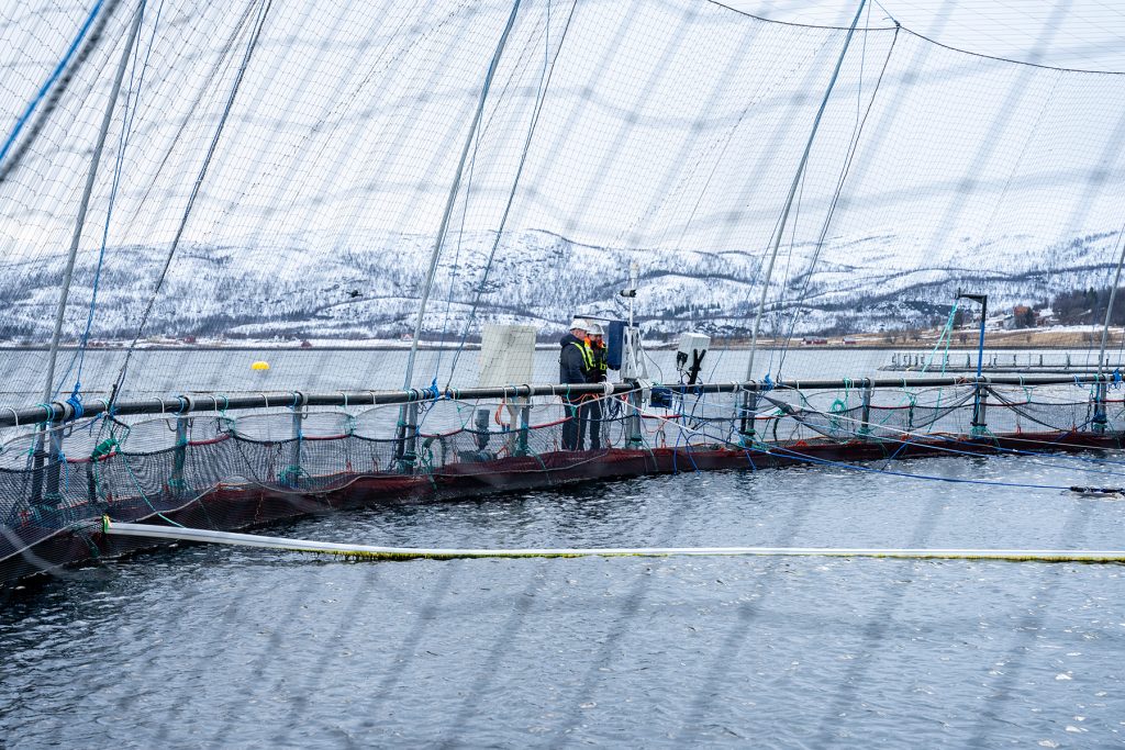 Åpning av nye lokaler på Finnsnes - ScaleAQ