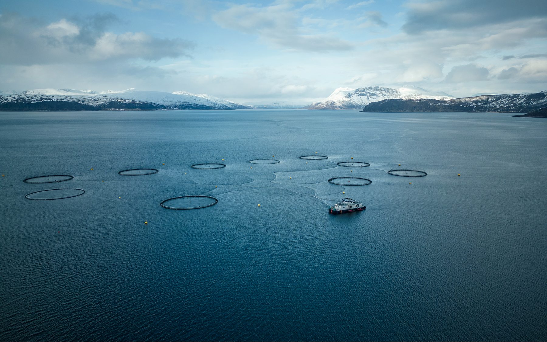 ScaleAQ | WE ARE AQUACULTURE